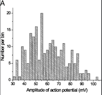 Solved Why do the extracellular recordings of action | Chegg.com