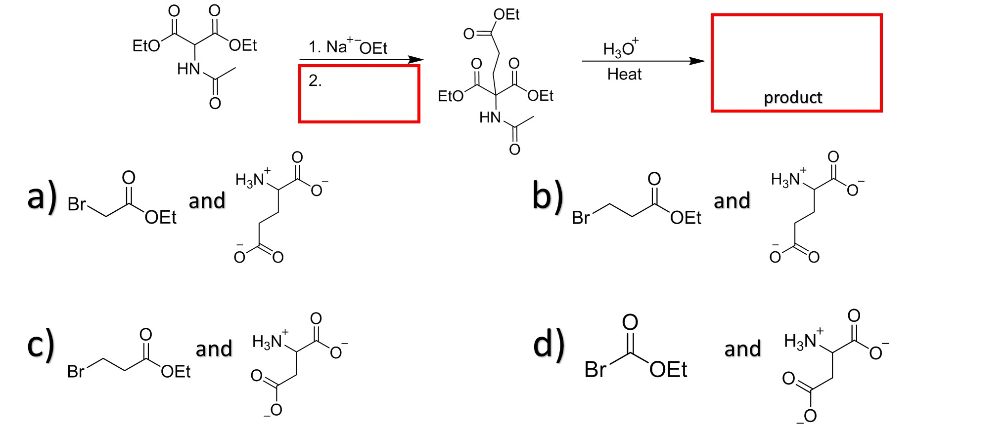 Solved One way to synthesize α-amino acids is using | Chegg.com