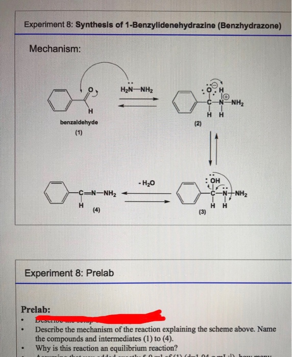 Solved Experiment 8: Synthesis of 1-Benzylidenehydrazine | Chegg.com
