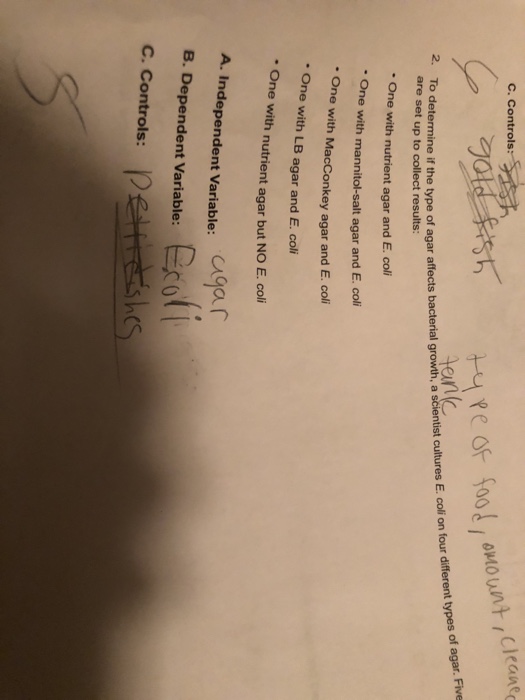 Solved Experimental Va EXERCISE 7: EXPERIMENTAL VARIABLES | Chegg.com