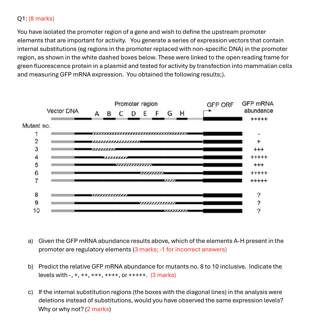 Solved a) ﻿Given the GFP mRNA abundance results above, which | Chegg.com