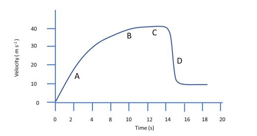 Solved The diagram below shows how the vertical velocity of | Chegg.com