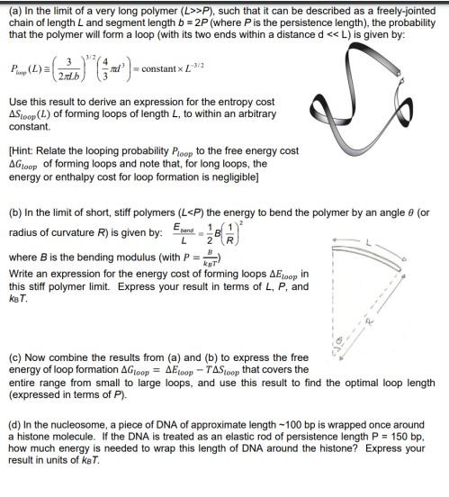 Solved (a) In the limit of a very long polymer (L>>P ), such | Chegg.com