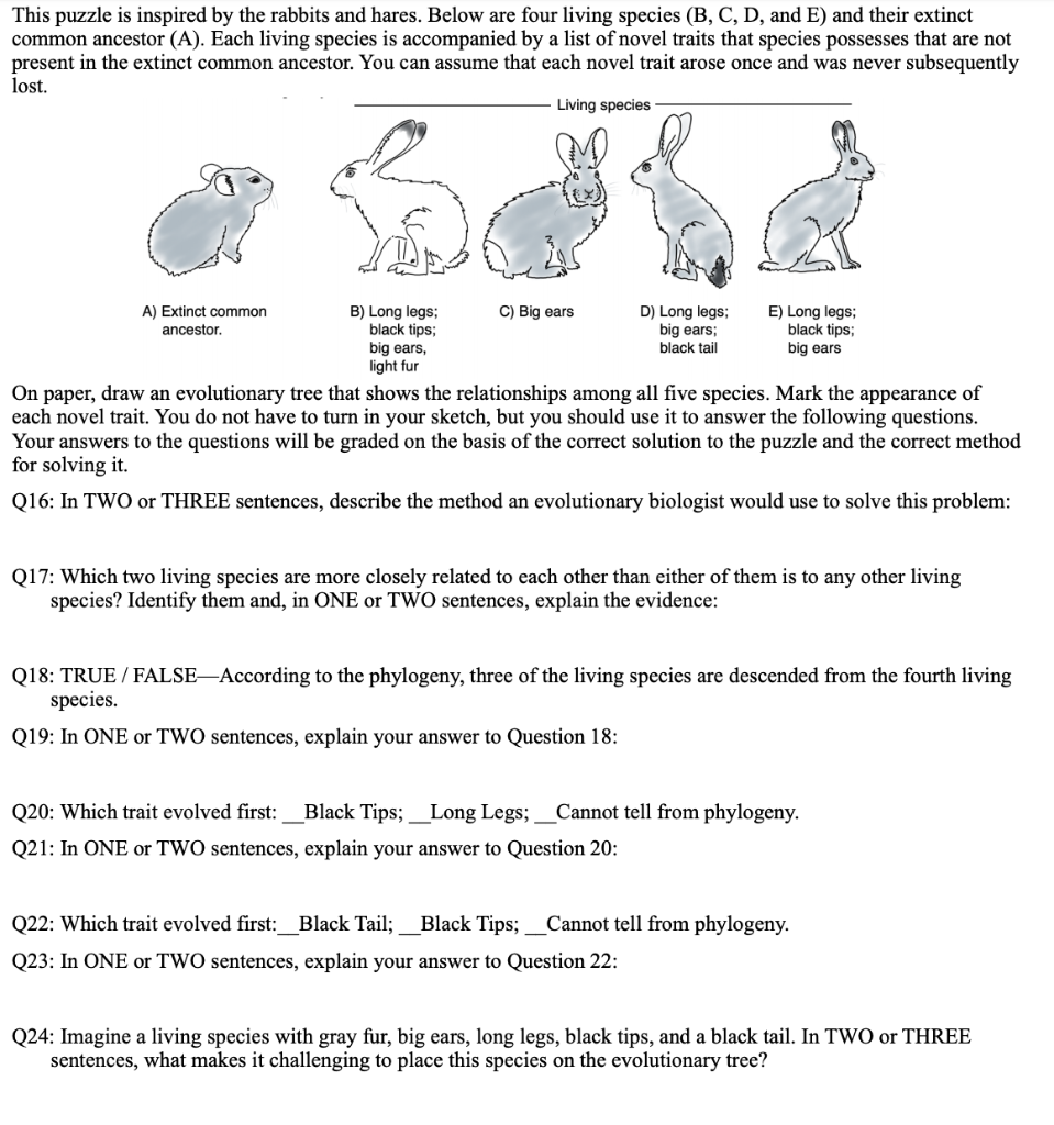 Solved This puzzle is inspired by the rabbits and hares. | Chegg.com