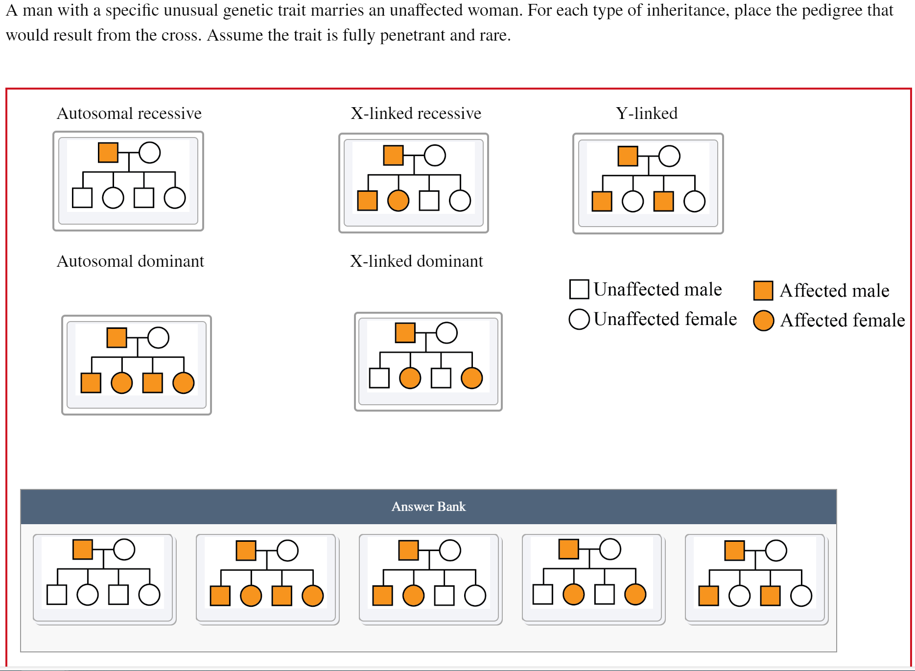 Solved A man with a specific unusual genetic trait marries | Chegg.com