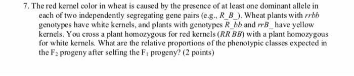 Solved 7. The red kernel color in wheat is caused by the | Chegg.com