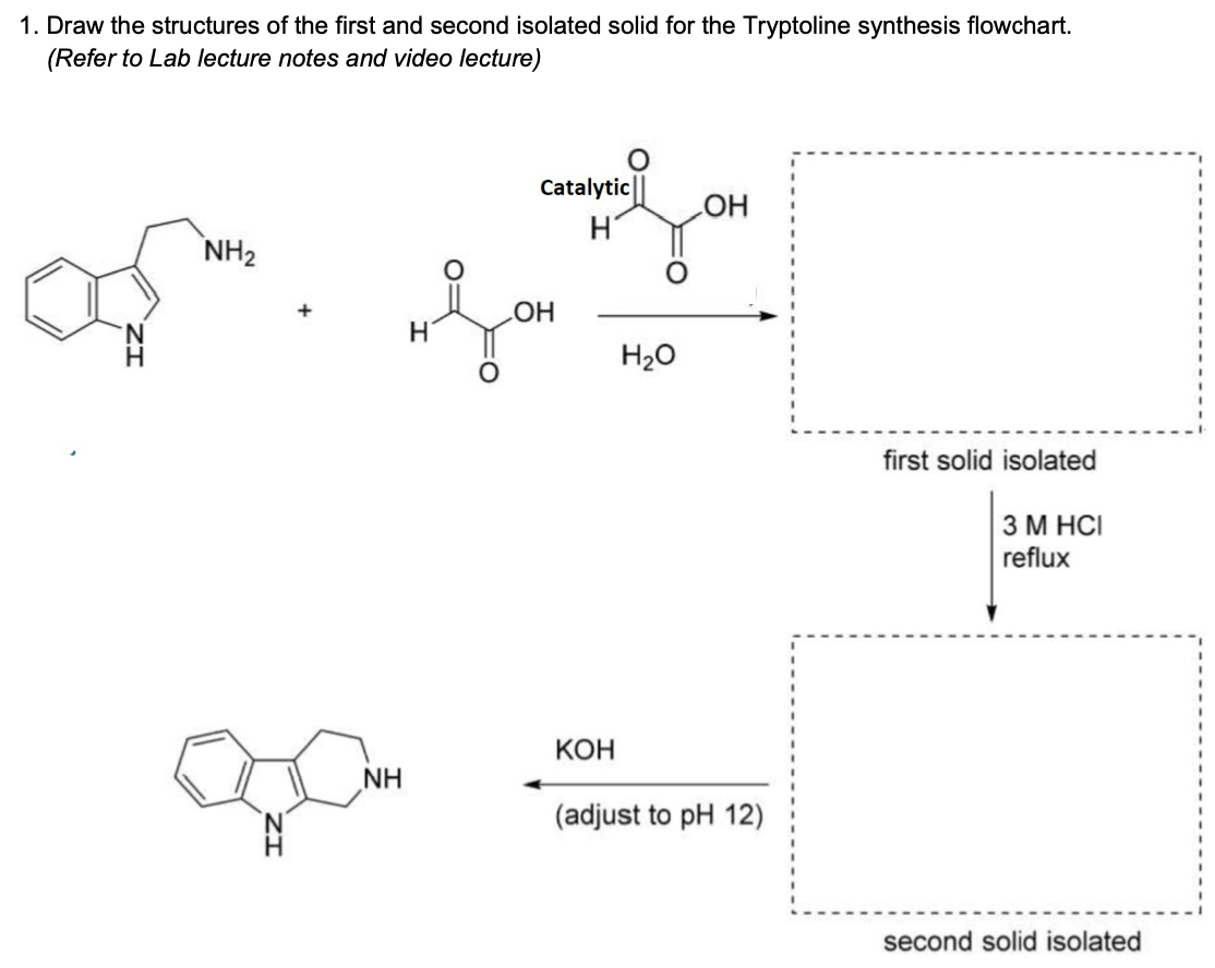 Solved 1. Draw the structures of the first and second | Chegg.com