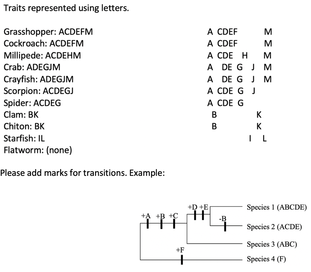 Solved Construct a parsimonious cladogram for the 11 | Chegg.com