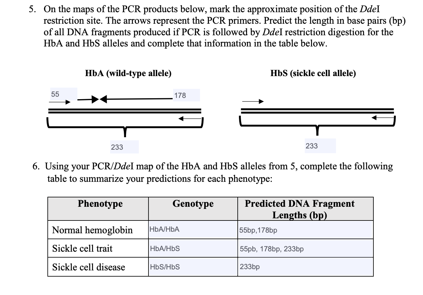 Solved What is the expected size (in base pairs) of the PCR | Chegg.com