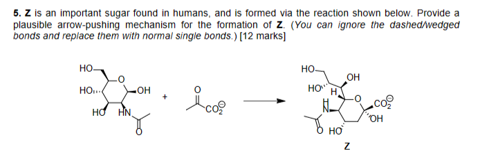 Solved 5. z is an important sugar found in humans, and is | Chegg.com