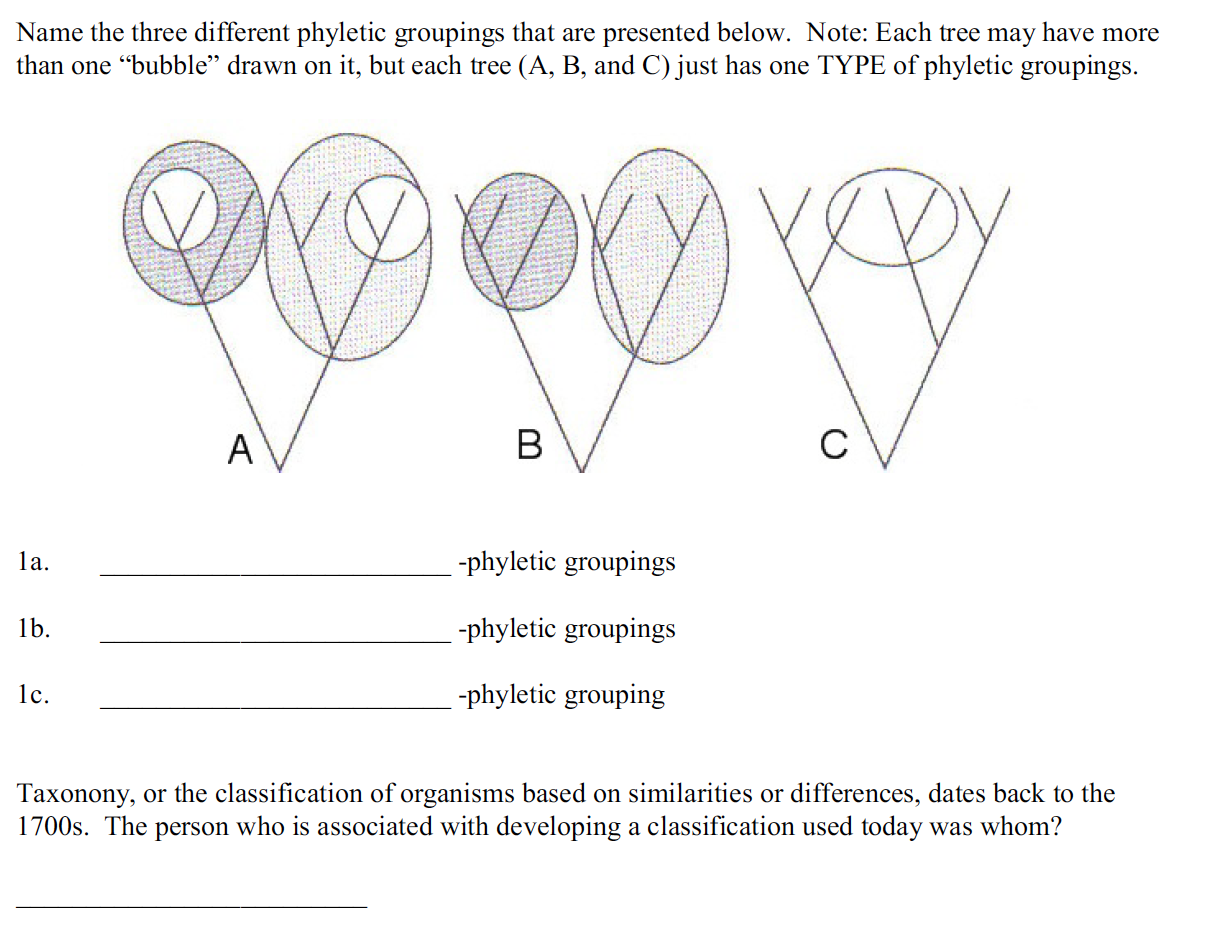 Solved Name the three different phyletic groupings that are | Chegg.com