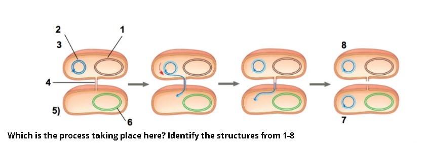 Solved Define taxis, what is the function Tell the | Chegg.com