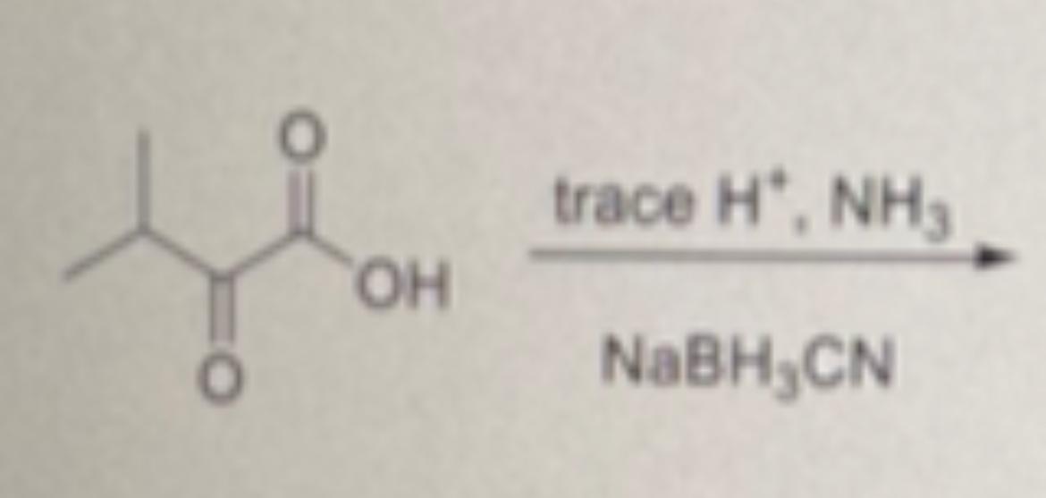 Solved trace H, NH OH NaBH,CN | Chegg.com