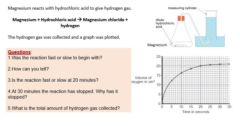 Solved Magnesium reacts with hydrochloric acid to give | Chegg.com