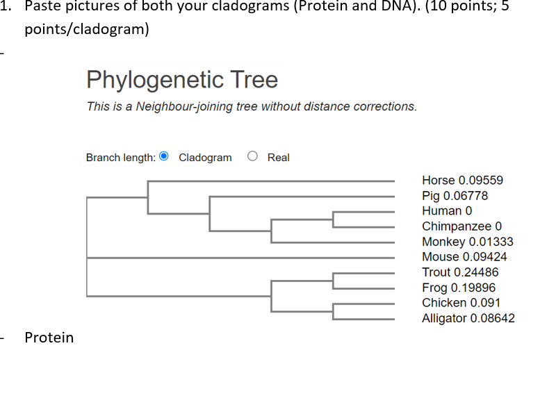 Paste pictures of both your cladograms (Protein and | Chegg.com