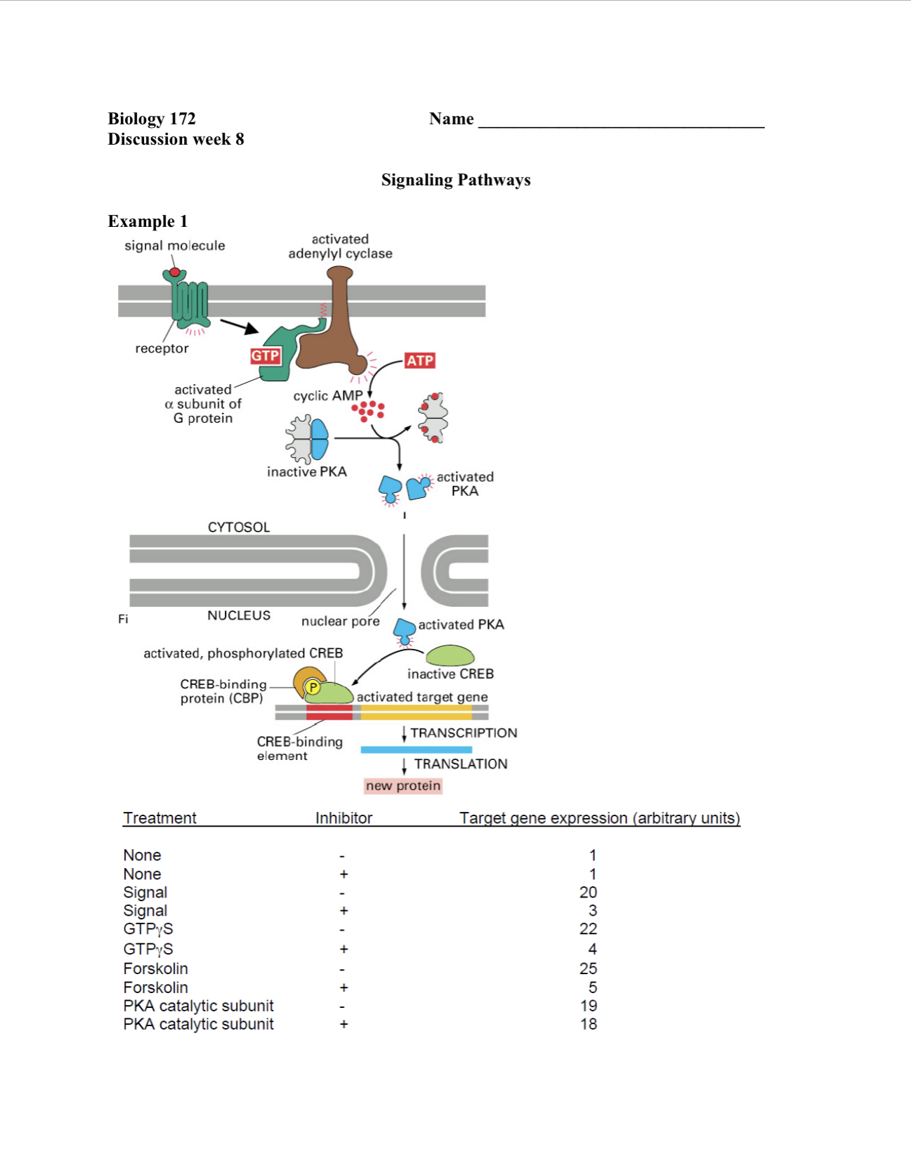 Solved Biology 172 Discussion week 8 Name Signaling Pathways | Chegg.com