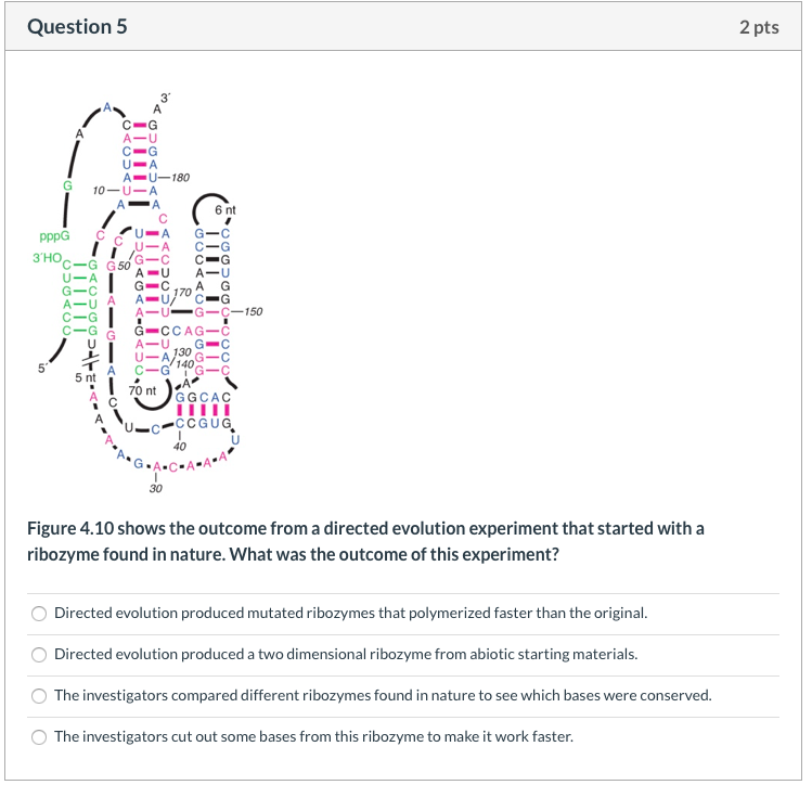 Solved Question 1 2 pts Which statement related to the | Chegg.com