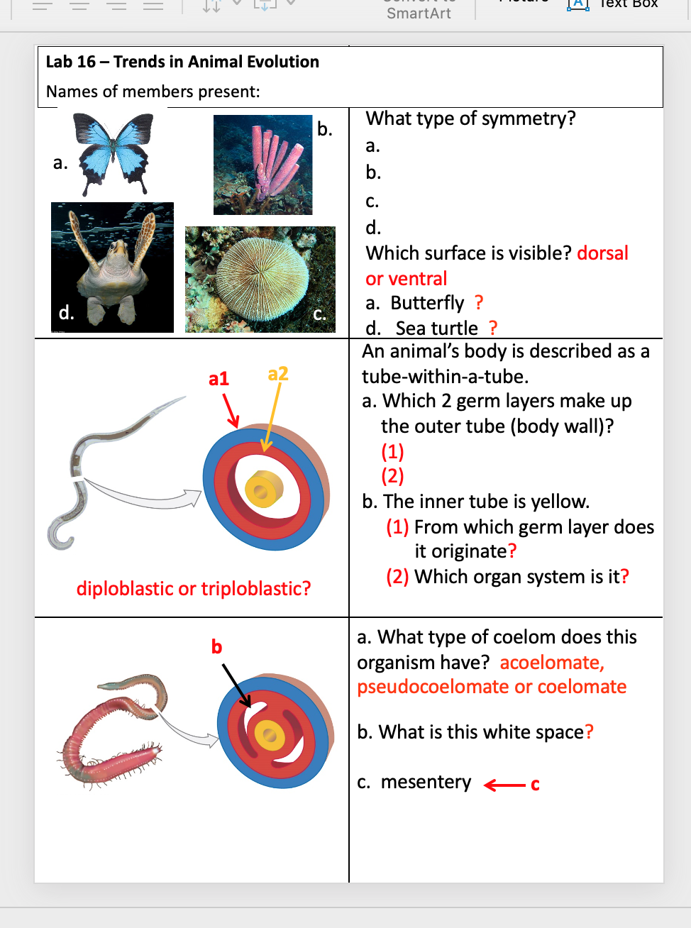 Solved = = = = Text BOX SmartArt Lab 16 – Trends in Animal | Chegg.com
