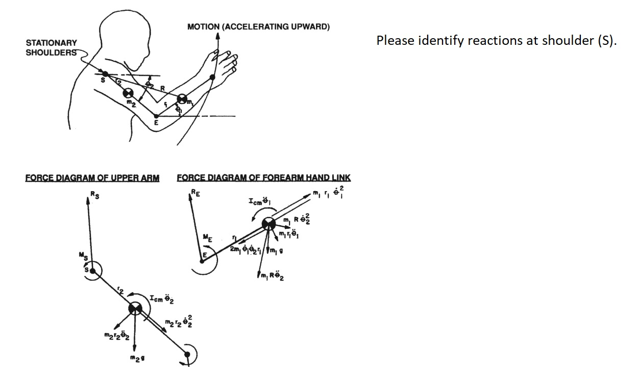 Solved MOTION (ACCELERATING UPWARD) STATIONARY SHOULDERS | Chegg.com