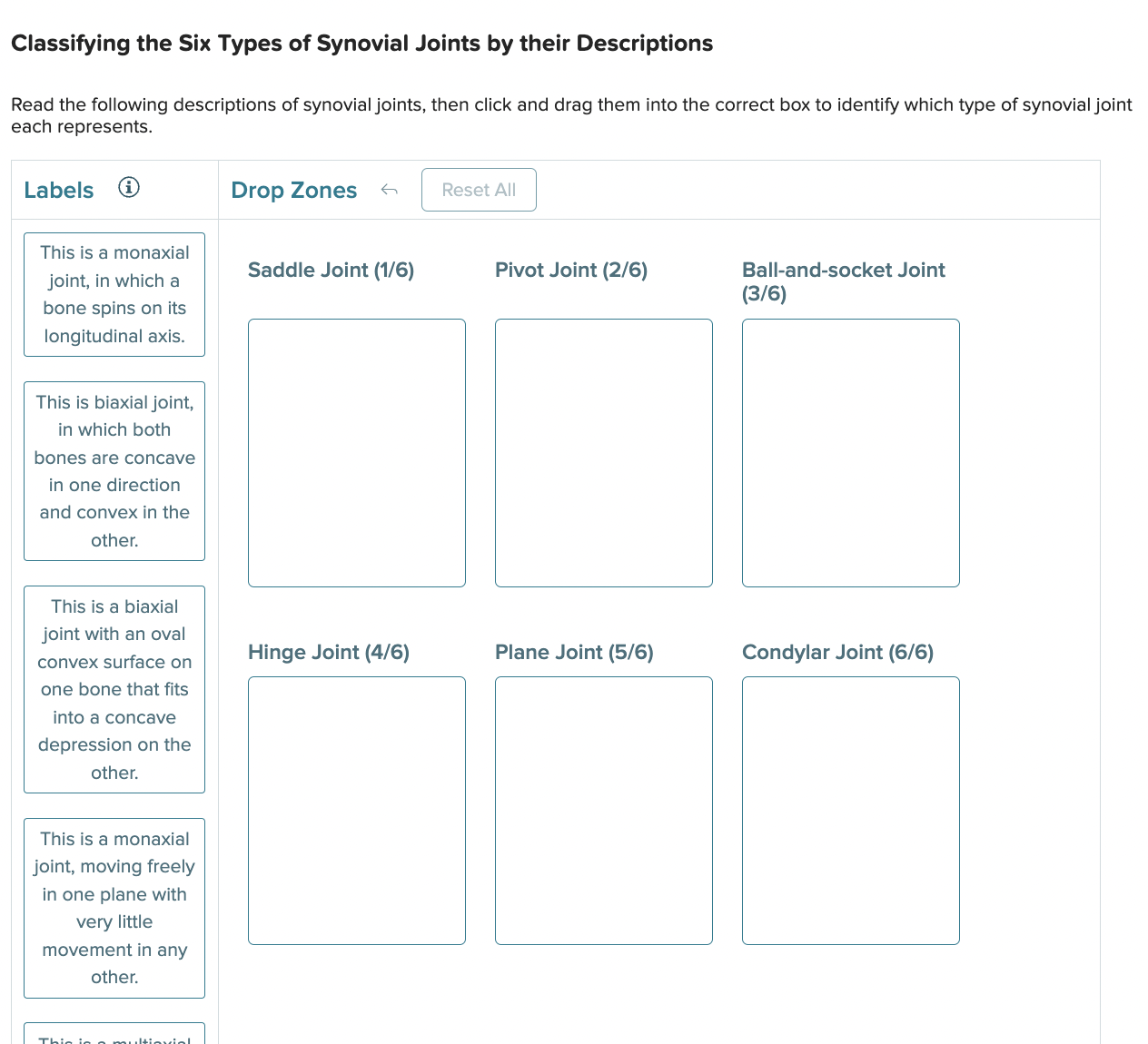 Solved Classifying the Six Types of Synovial Joints by their | Chegg.com Solved Classifying the Six Types of Synovial Joints by their | Chegg.com