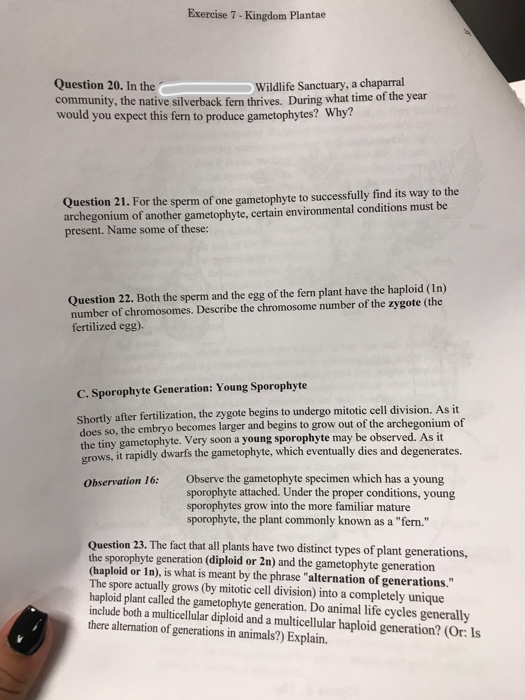 Solved Exercise 7- Kingdom Plantae Question 20. In the | Chegg.com