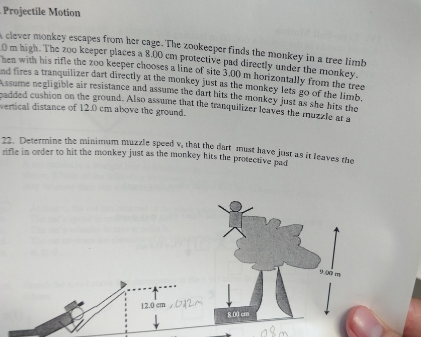 Solved - Projectile Motion ind fires a tranquilizer dart | Chegg.com