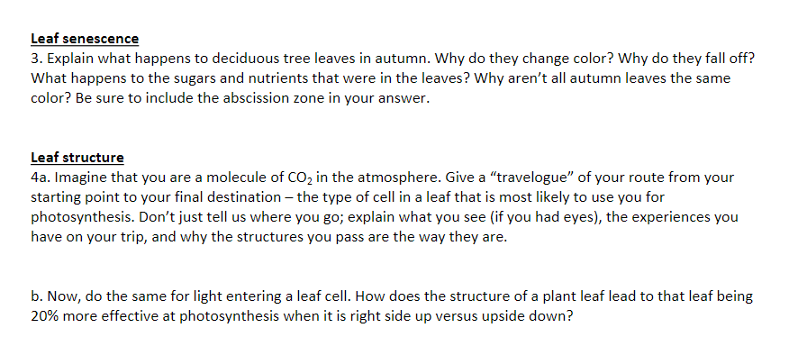 Solved Leaf senescence 3. Explain what happens to deciduous | Chegg.com