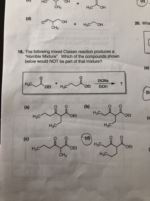Solved H3C H3C CH3 CH3 CH3 What major product would you | Chegg.com