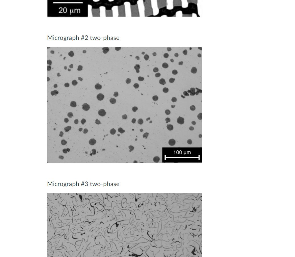 오답 질문1 0/1점 The mineral olivine is a solid solution | Chegg.com