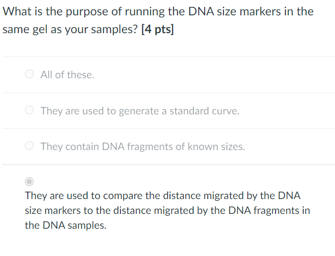 Solved What is the purpose of running the DNA size markers | Chegg.com