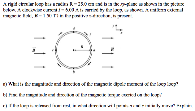Solved A rigid circular loop has a radius R = 25.0 cm and is | Chegg.com