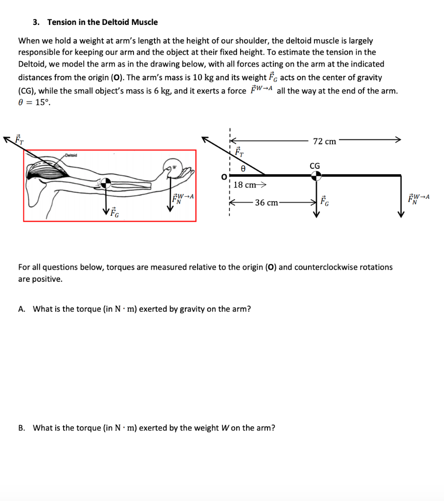 Solved 3. Tension in the Deltoid Muscle When we hold a | Chegg.com