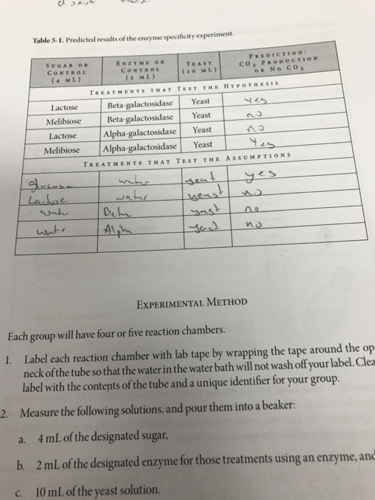 Table 5-1. Predicted results of the enzyme | Chegg.com