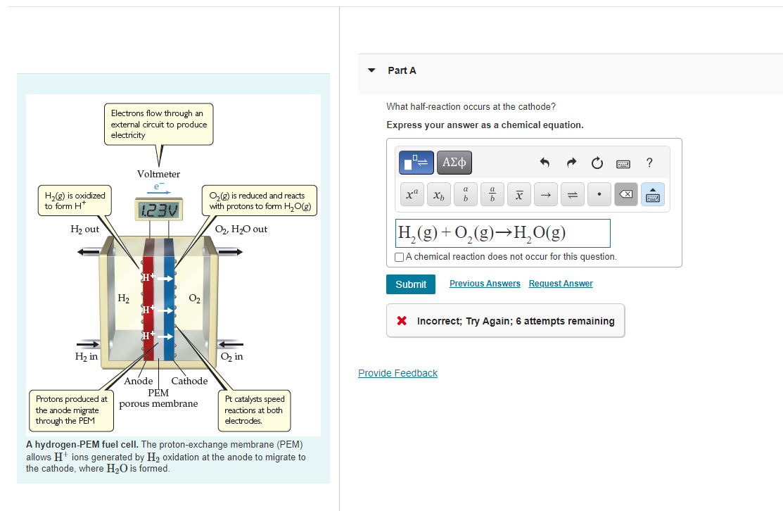 Solved What half-reaction occurs at the cathode? Express | Chegg.com