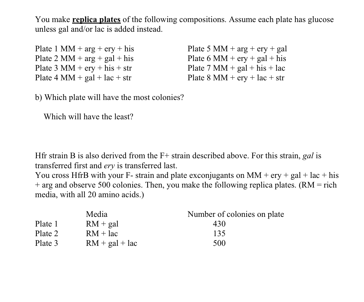 Solved You make replica plates of the following | Chegg.com