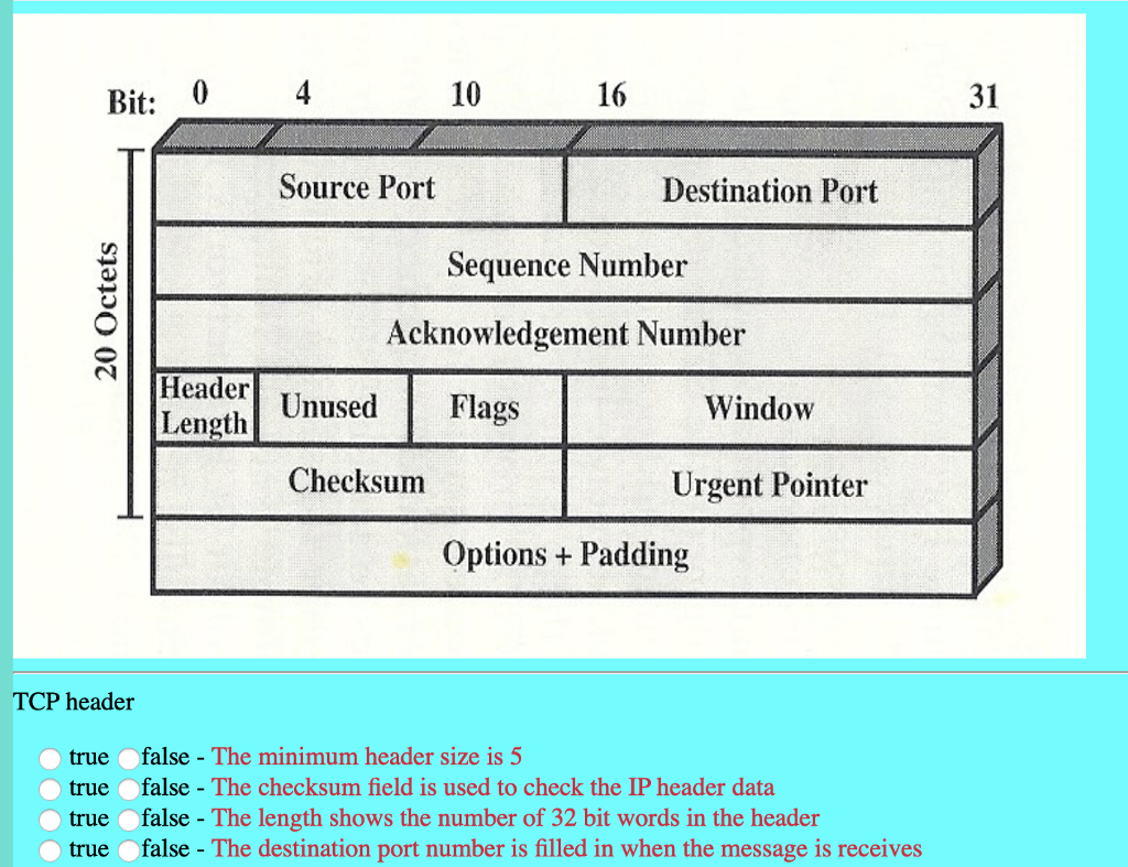 Solved TCP header true false - The minimum header size | Chegg.com