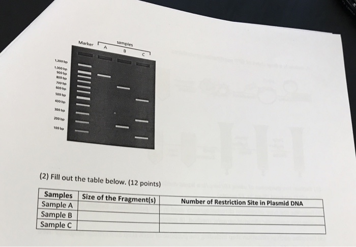 Solved Fill out the table below. | Chegg.com