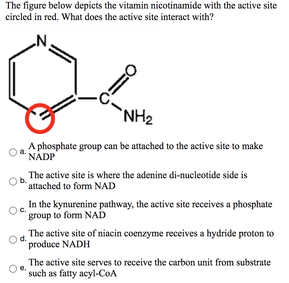 Solved The figure below depicts the vitamin nicotinamide | Chegg.com