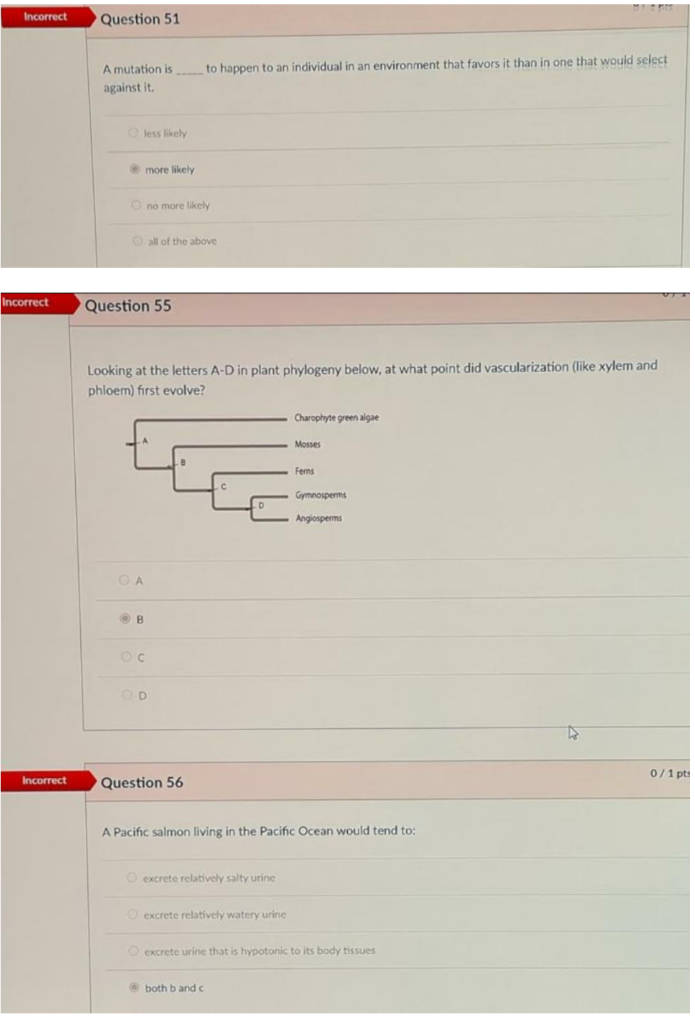 Solved Please type the answer do not handwrite :) ( The | Chegg.com
