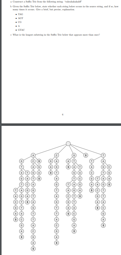 Solved B Given The Suffix Trie Below State Whether Each
