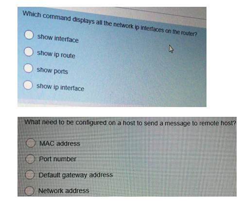 Solved Which command displays all the network ip interfaces | Chegg.com