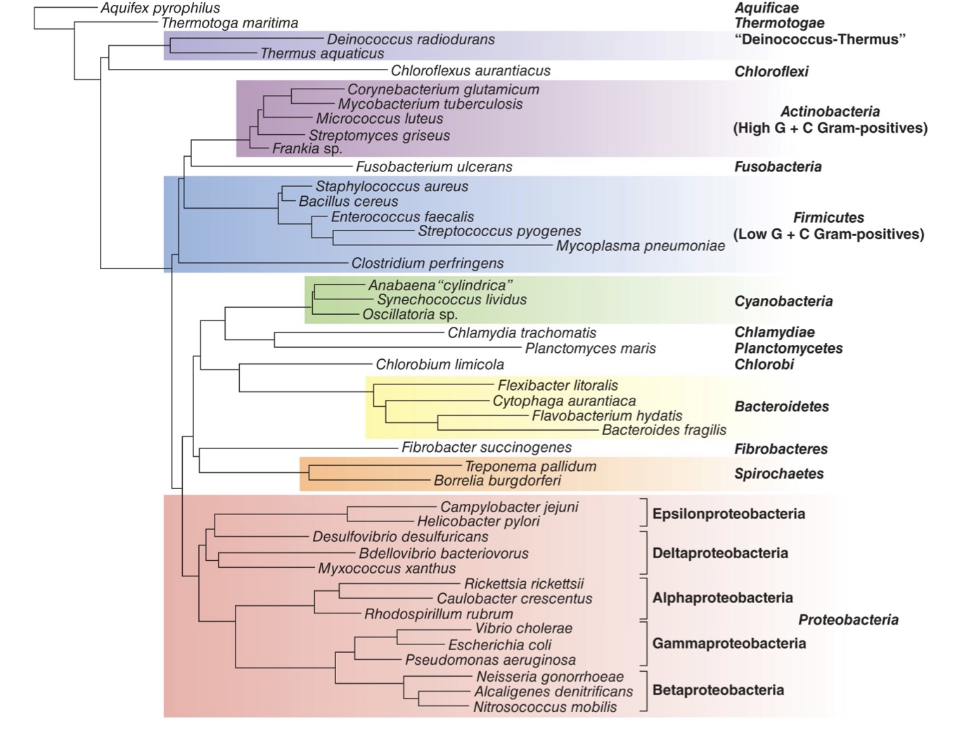 Solved Give an example of two species that are closely | Chegg.com