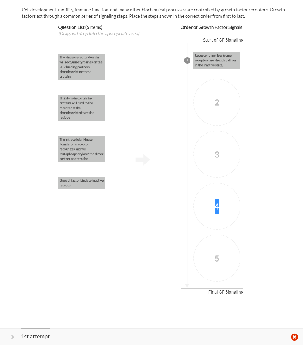 Solved Cell development, motility, immune function, and many | Chegg.com