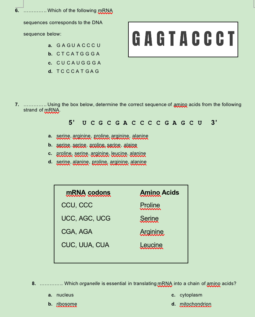 Solved 6. Which of the following mRNA sequences corresponds | Chegg.com