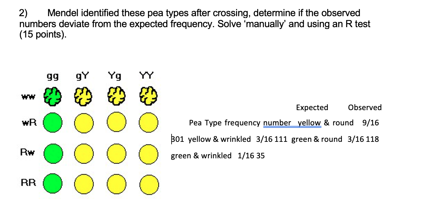 Solved 2) Mendel identified these pea types after crossing, | Chegg.com