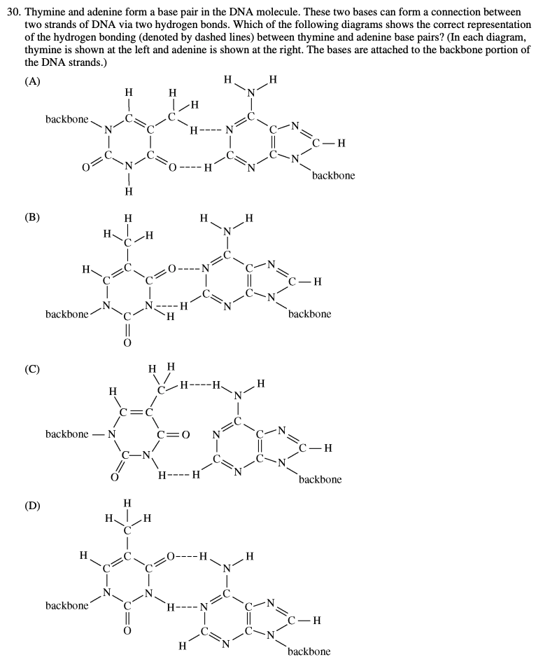 30. Thymine and adenine form a base pair in the DNA | Chegg.com