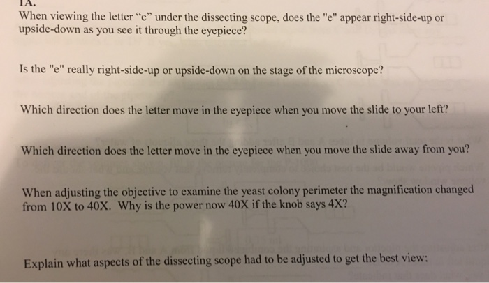 Solved IA. When viewing the letter "e” under the dissecting | Chegg.com
