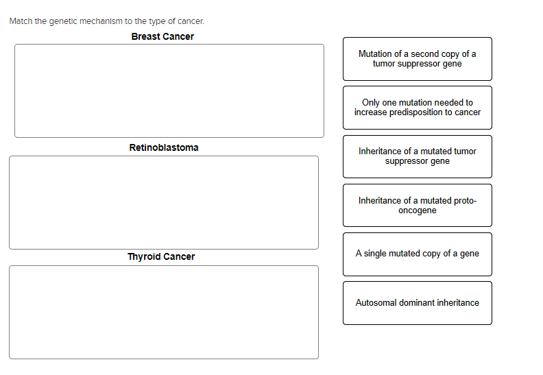 Match the genetic mechanism to the type of cancer. | Chegg.com