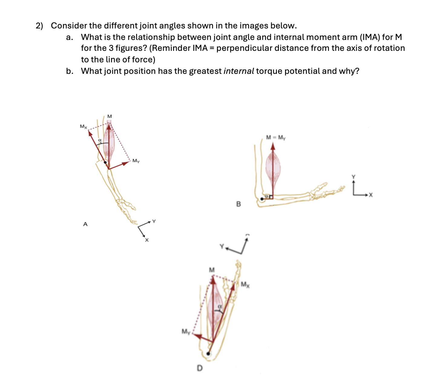 Solved Consider the different joint angles shown in the | Chegg.com