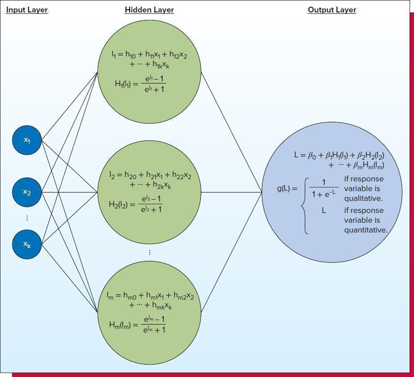 Figure 1 shows a typical composition of neurons in a | Chegg.com